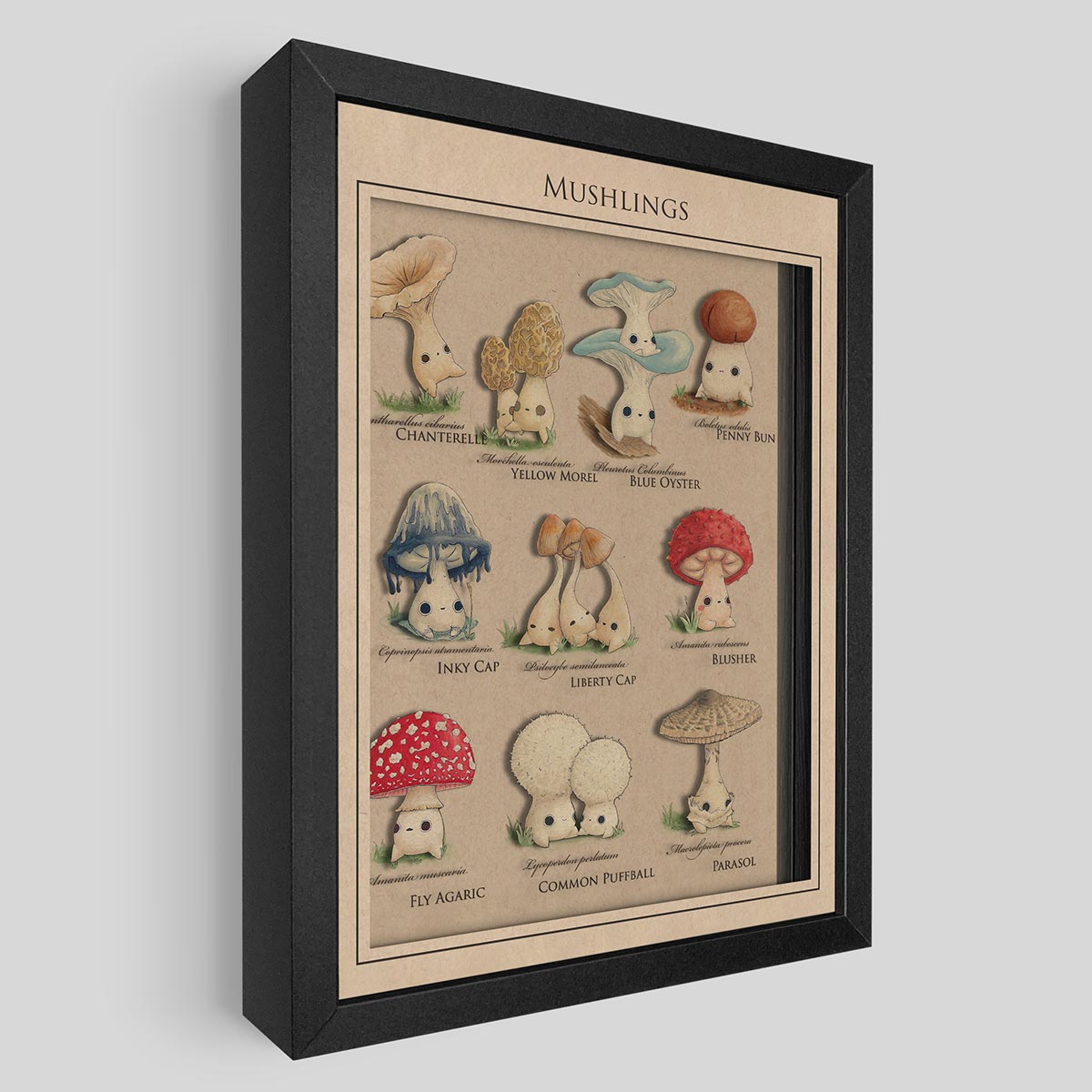Mushling Identification Shadowbox Art | Artovision